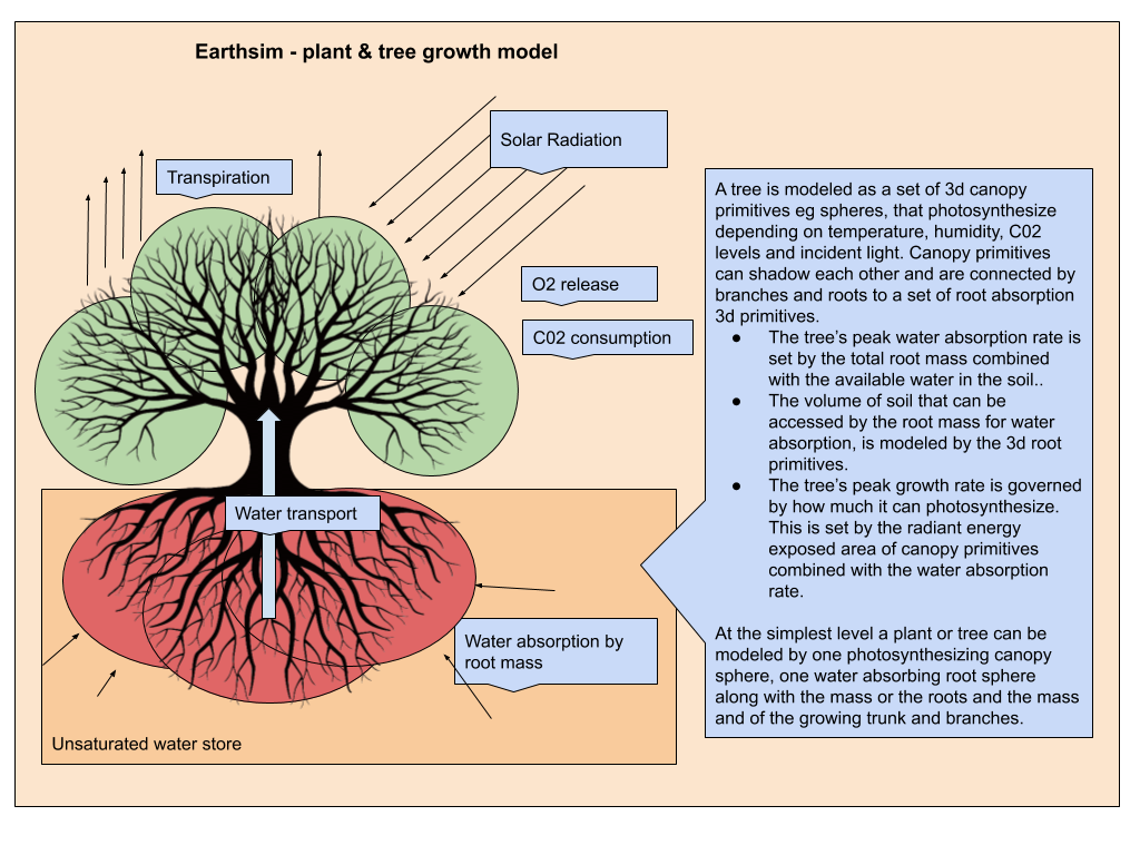 Photosynthesis, tree growth and water transport – Earthsim